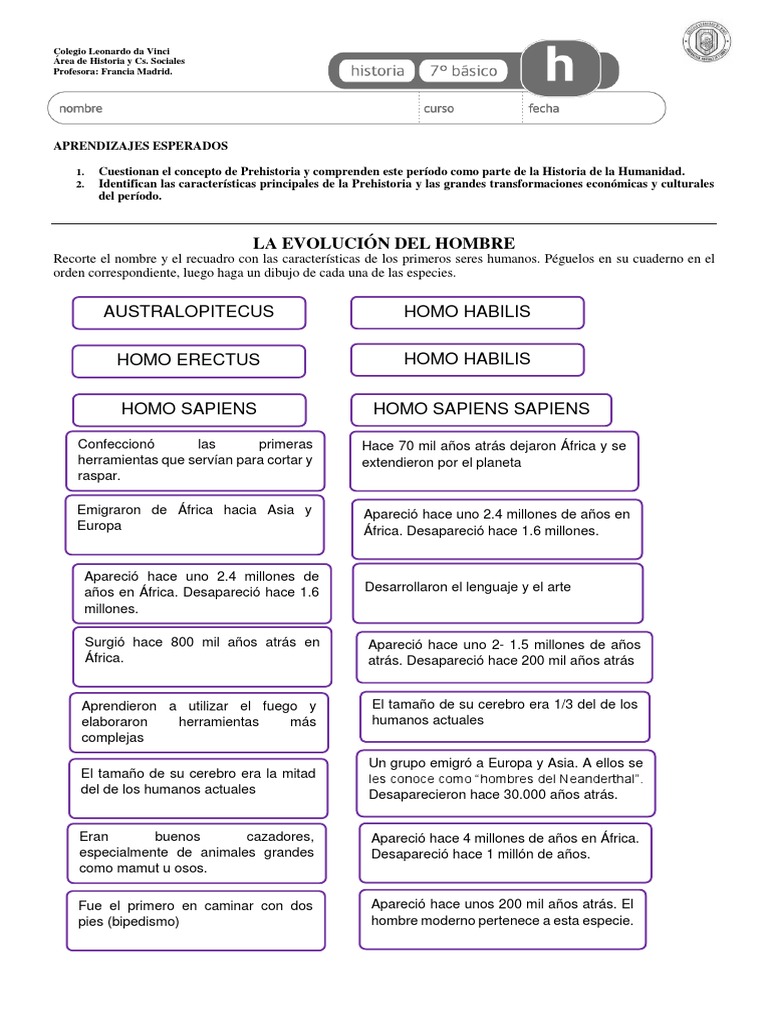 Actividad Prehistoria HOMINIZACIÓN | PDF | Homo | Evolución humana