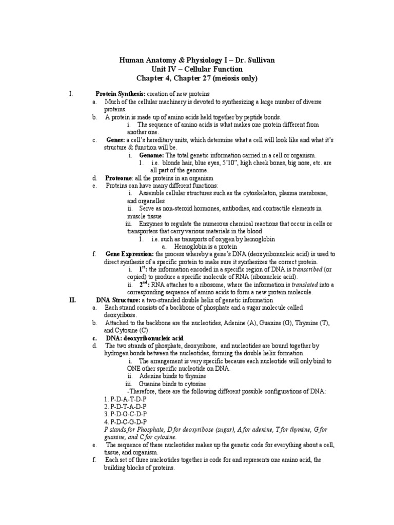 Human Anatomy & Physiology I - Dr. Sullivan Unit IV - Cellular Function ...
