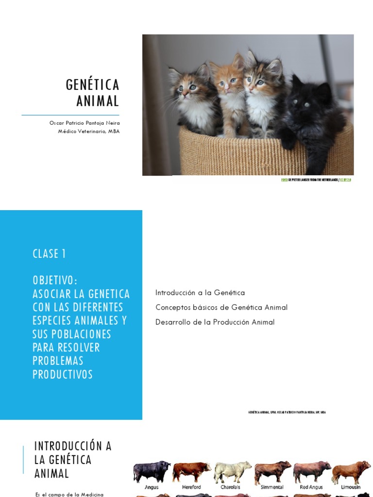 Introducción a la Genética Animal | PDF | Rna | Messenger Rna