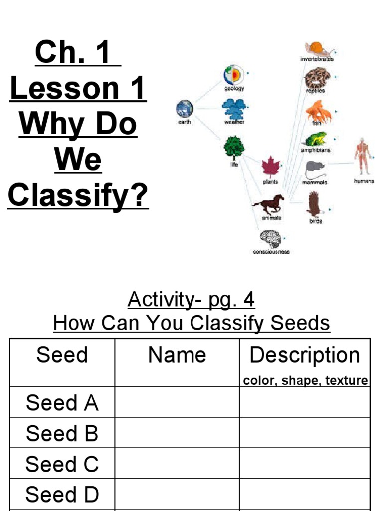 Importance of Classification Systems | PDF | Biological Classification ...