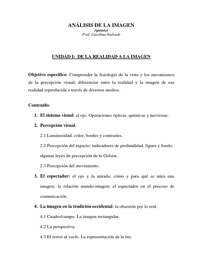 Folleto de Análisis de La Imagen | PDF | Percepción visual | Ojo humano