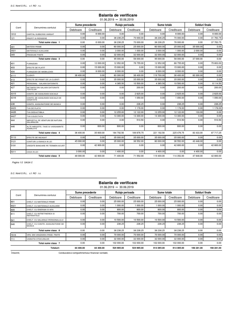 Balanta de Verificare Exemplu | PDF