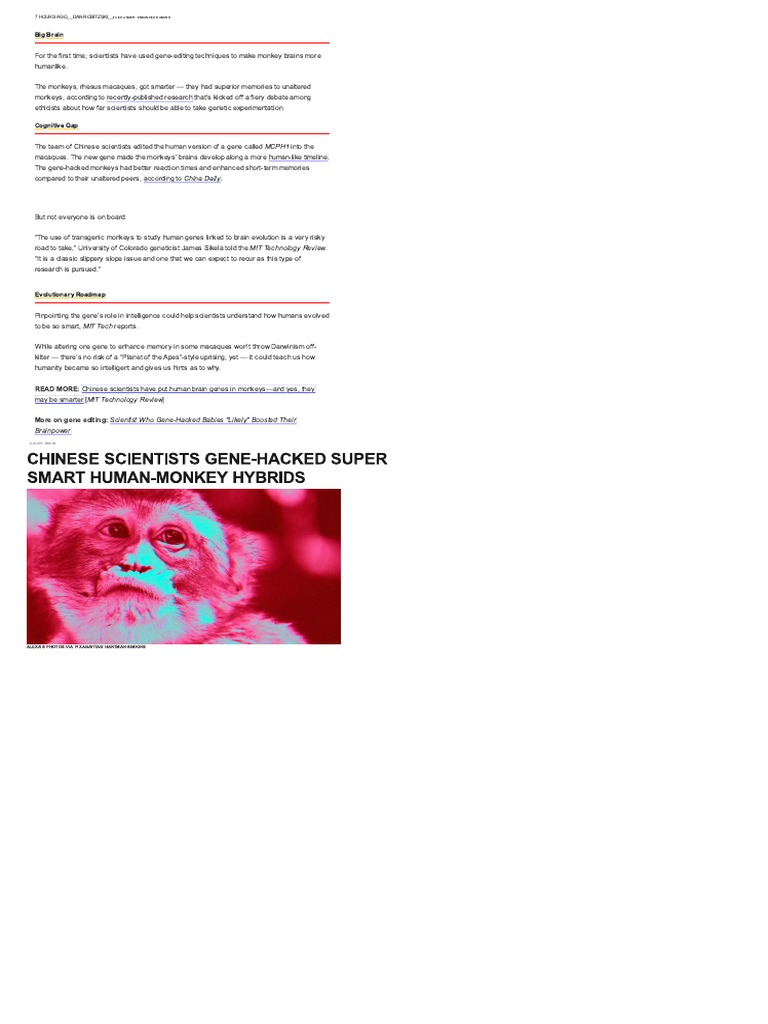 Chinese Scientists Gene-Hacked Super Smart Human-Monkey Hybrids | PDF