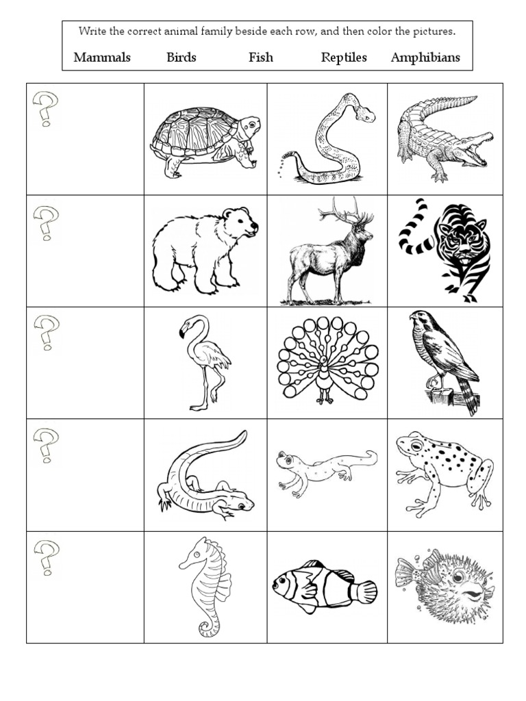 Animal Classification Worksheet | PDF