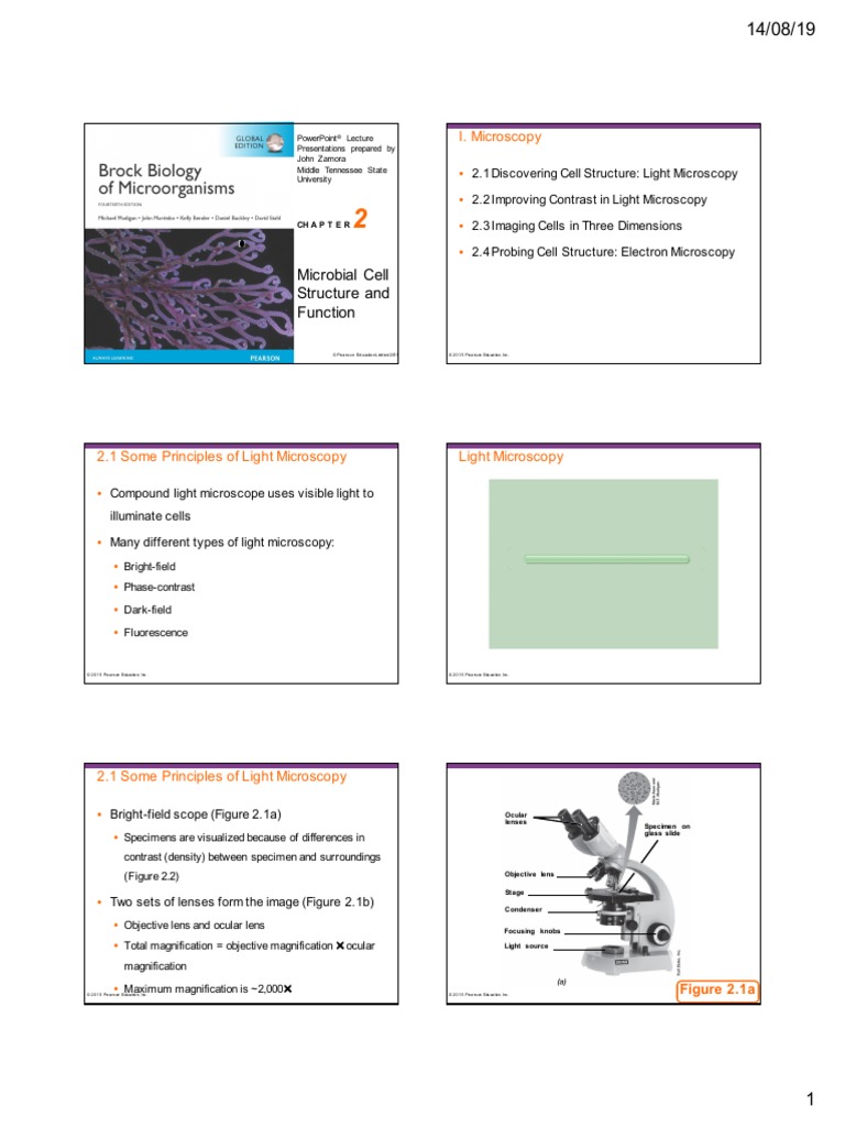 Microbial Cell Structure and Function: I. Micros | PDF | Electron Microscope | Microscope