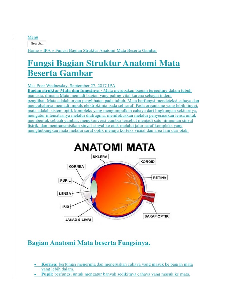 Anatomi Mata | PDF