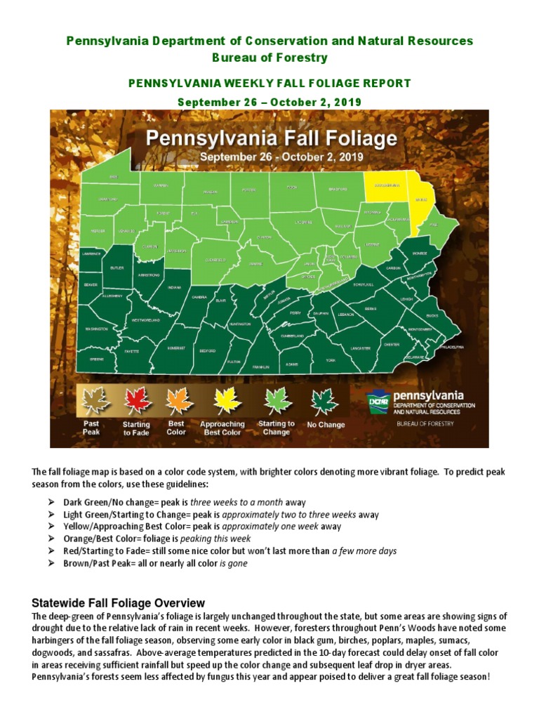 Pennsylvania Fall Foliage Report 2019 | PDF | Plants | Trees