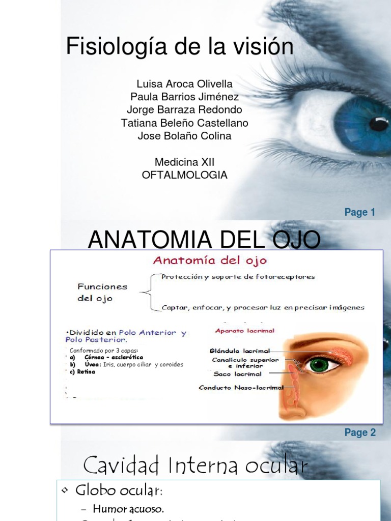 Anatomía Del Ojo Humano Ppt Diapositivas Sobre La Anatomía Del Ojo Y