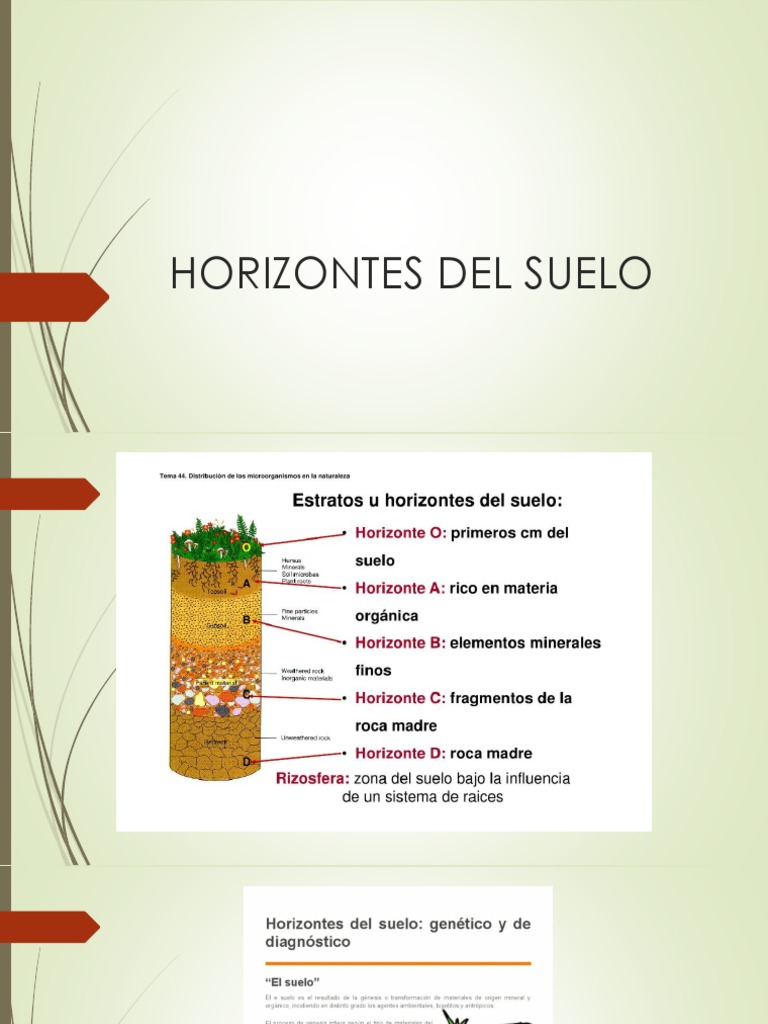 Horizontes Del Suelo | PDF