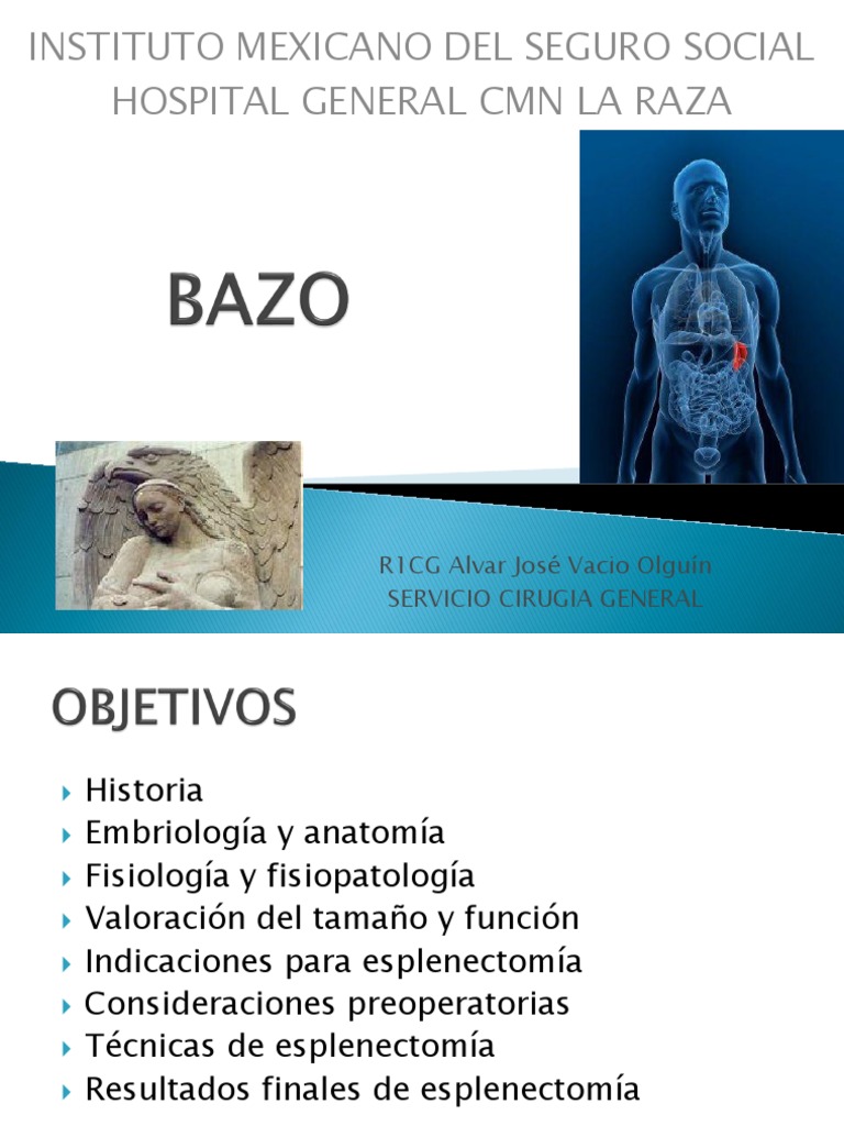 BAZO | PDF | Bazo | Fisiologia Animal