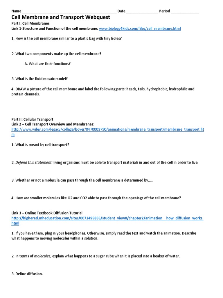 On-Level Cell Transport Webquest | PDF | Cell Membrane | Osmosis