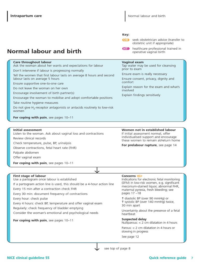Care Pathway: Normal Labour and Birth | PDF | Childbirth | Maternal Health