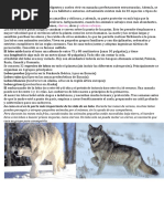 Anexo Lobos Continuemos Estudiando | PDF | Zoología