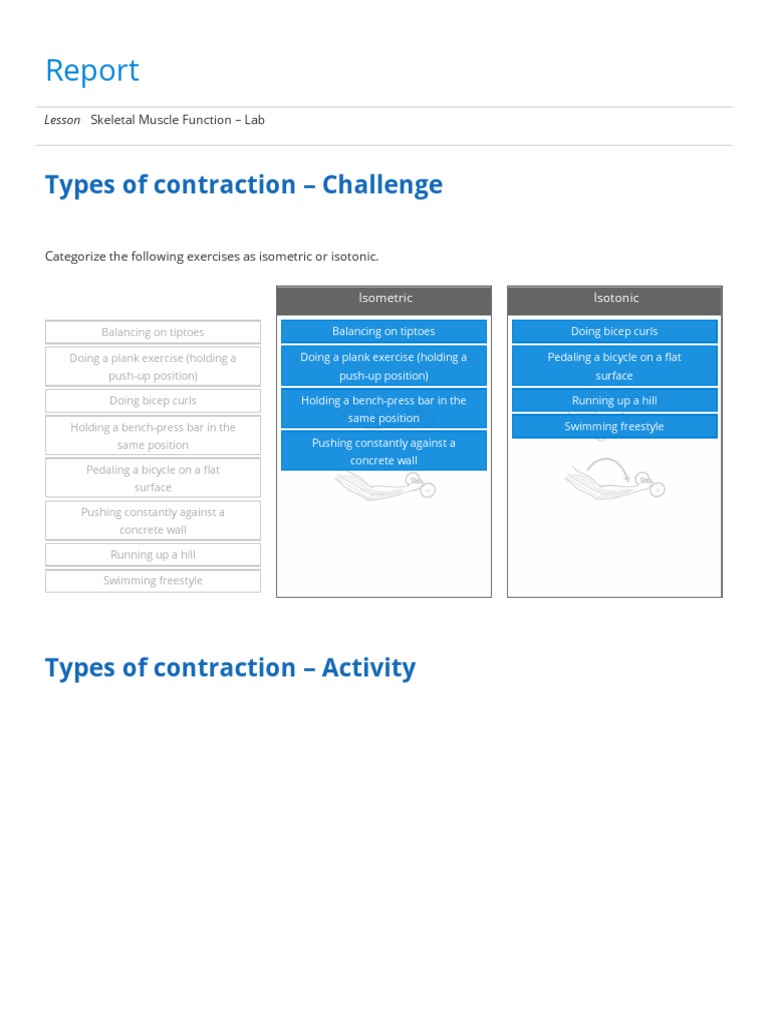 Jem Muscles | PDF | Muscle Contraction | Skeletal Muscle