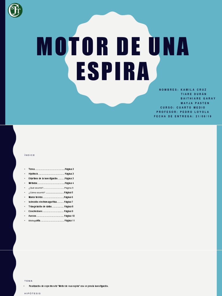 Motor de Una Espira | PDF | Electromagnetismo | Electricidad