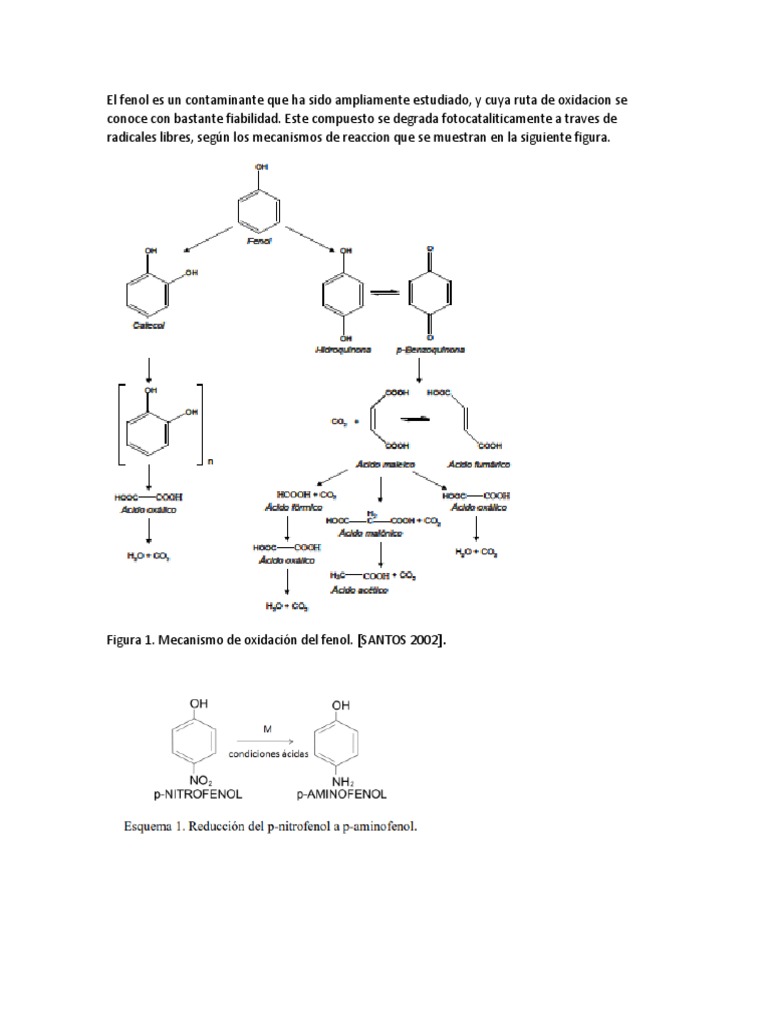 Mecanismo de Reaccion Nitrofenol | PDF