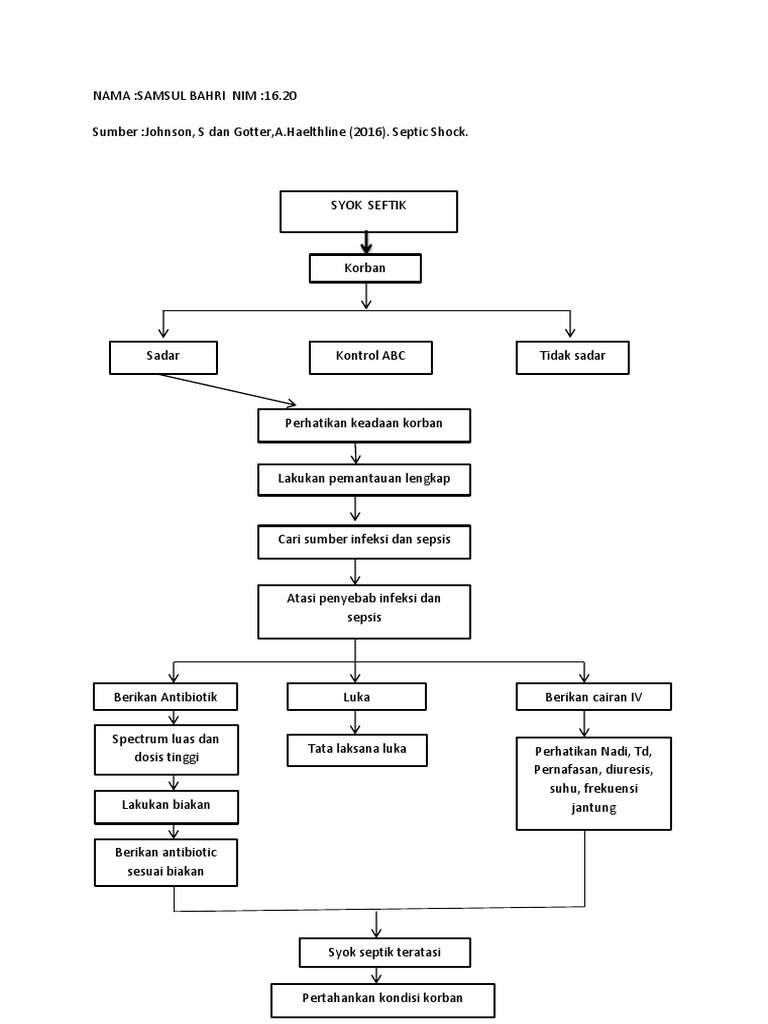 Algoritma Syok Septik | PDF