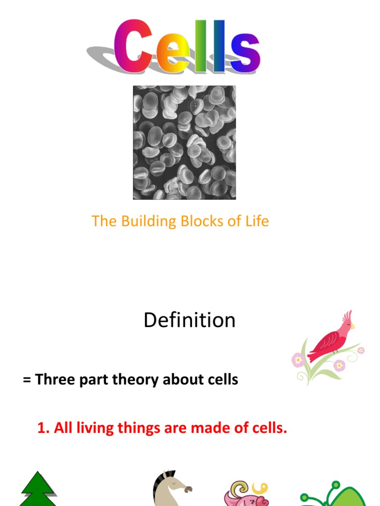 The Building Blocks of Life | PDF | Endoplasmic Reticulum | Cell (Biology)