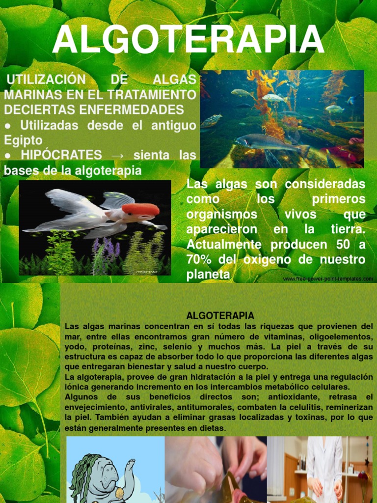 ALGOTERAPIA | PDF | Antioxidante | Biología
