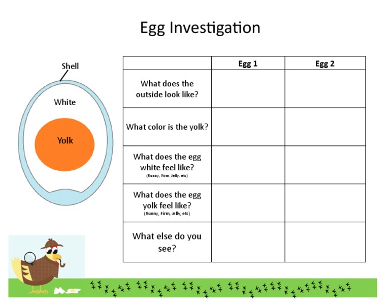 Egg Characteristics Investigation Guide | PDF | Self-Improvement ...