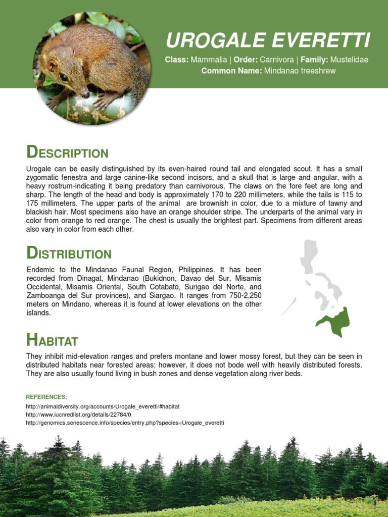 Compa Urogale | PDF | Mindanao | Organisms