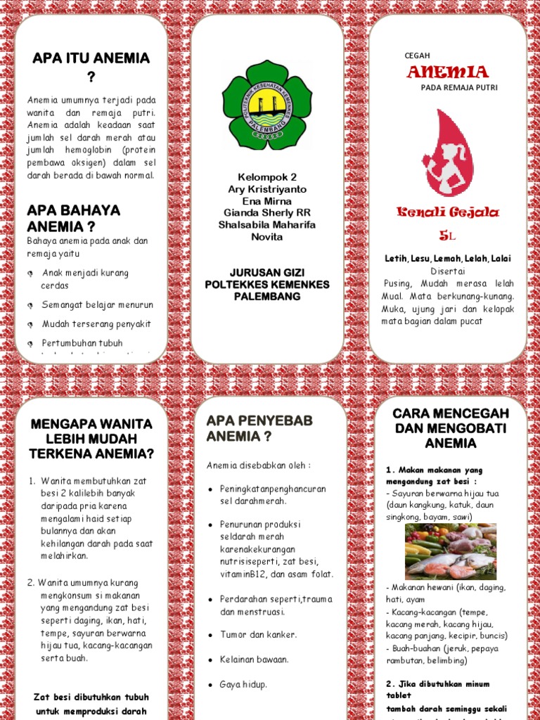 Leaflet Anemia | PDF