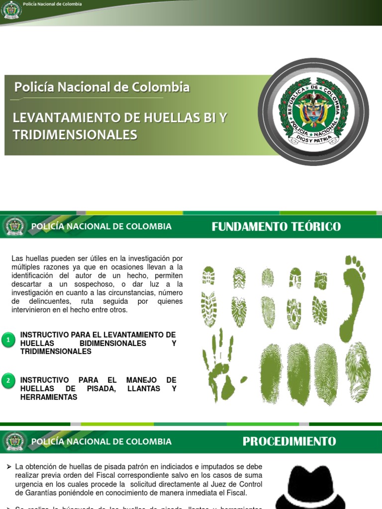 Huellas Bi y Tri | PDF | Naturaleza
