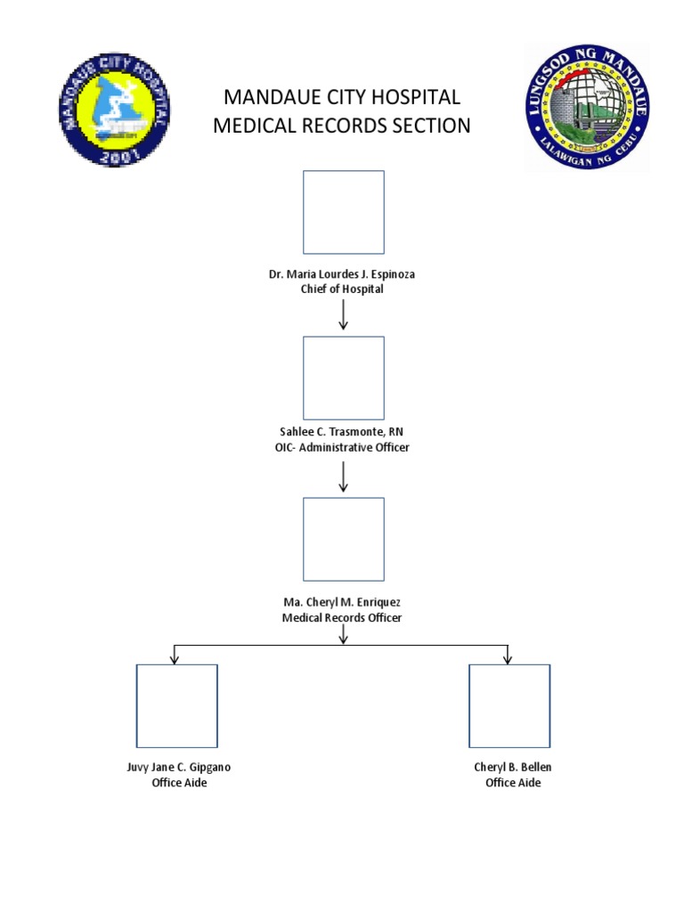 Mandaue City Hospital Medical Records Section: Dr. Maria Lourdes J ...