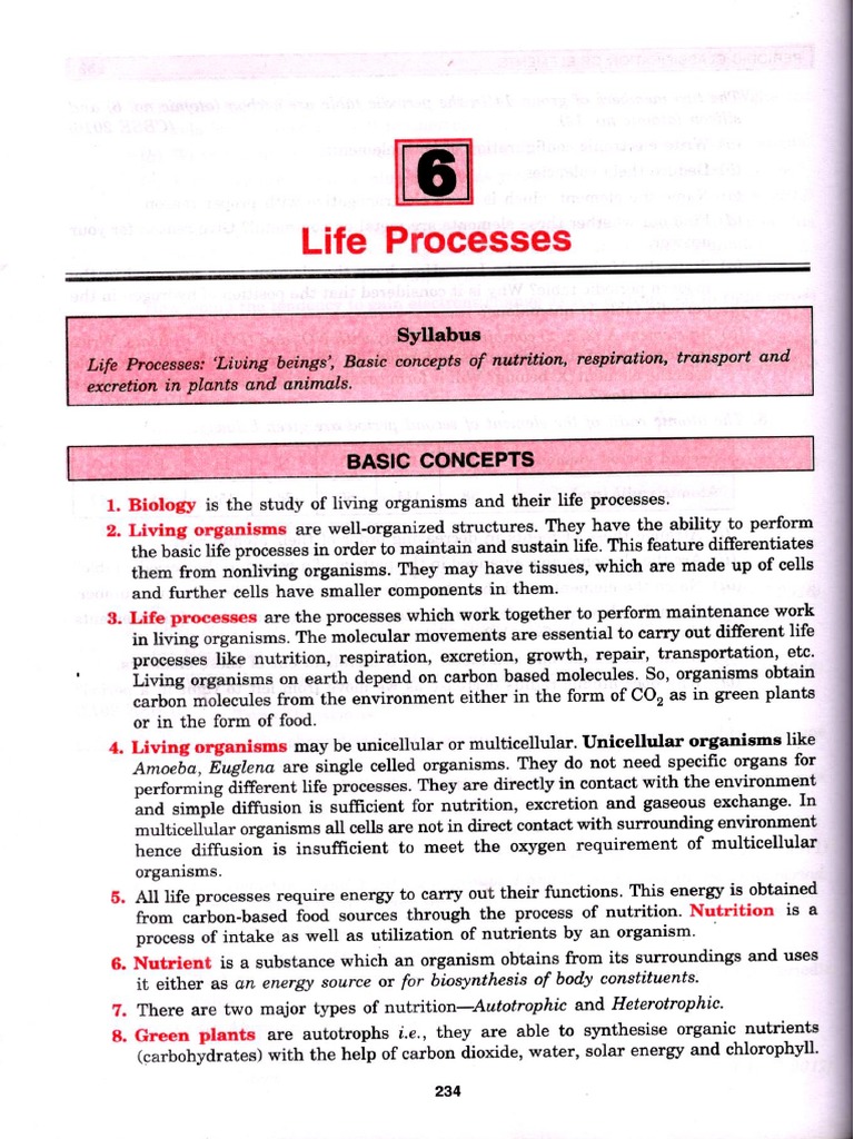 6 - Life Process PDF | PDF