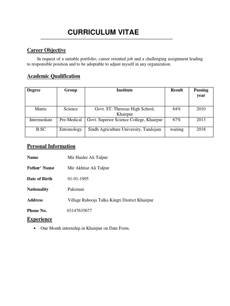 Haider Ali CV | PDF
