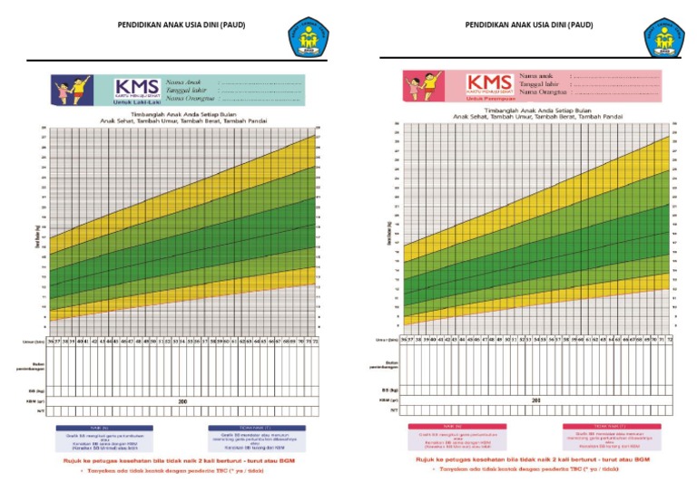 Contoh KMS untuk Anak Usia Dini | PDF