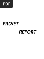 Project Report Format in Excel | PDF | Depreciation | Revenue