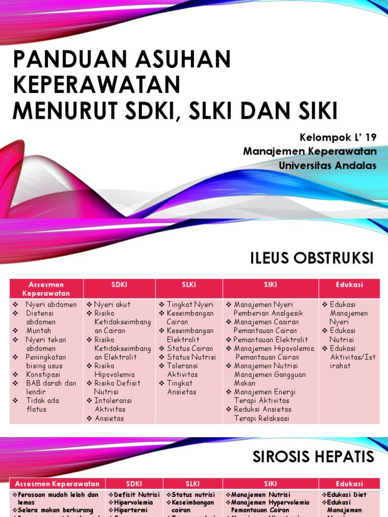 Panduan Sdki, Slki, Siki | PDF