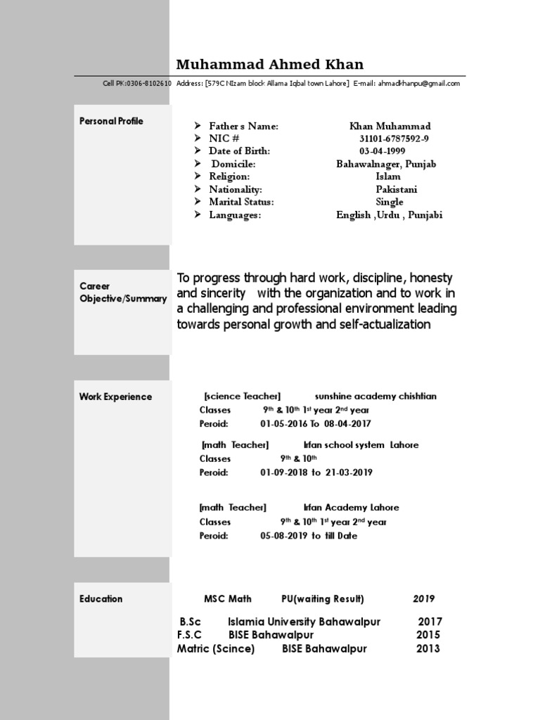 Standard CV Template | PDF | South Asia | Pakistan