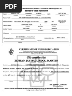 Ocrg So Form 1 | PDF | Government And Personhood | Government