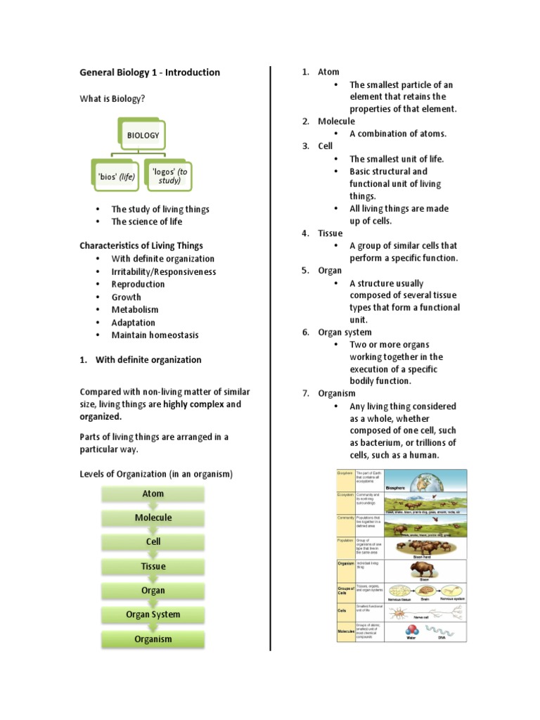 1 General Biology 1 - Introduction | PDF | Experiment | Cell (Biology)