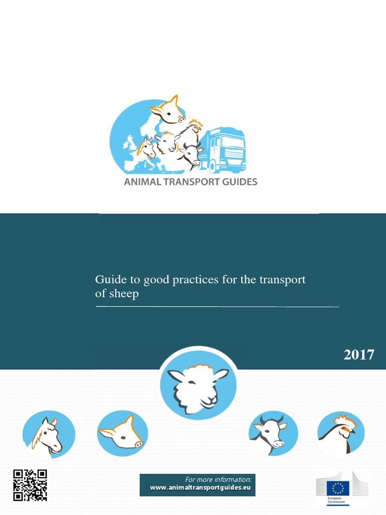 Animal Transport Guides Sheep 2017 | PDF | Animal Welfare | Transport