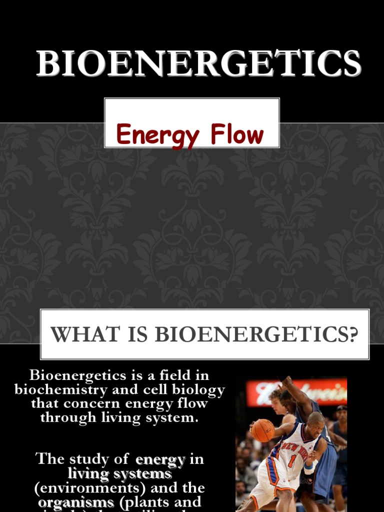 Bioenergetics: Energy Flow | PDF | Metabolic Pathway | Bioenergetics