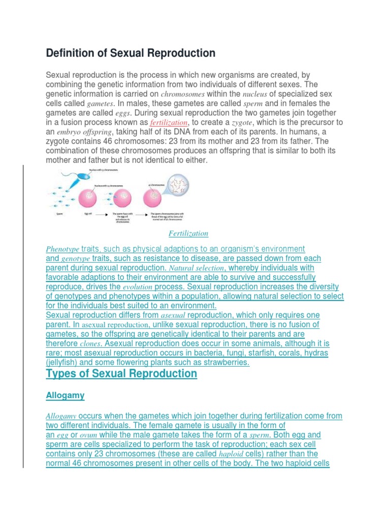 Types of Sexual Reproduction | PDF | Sexual Reproduction | Reproduction