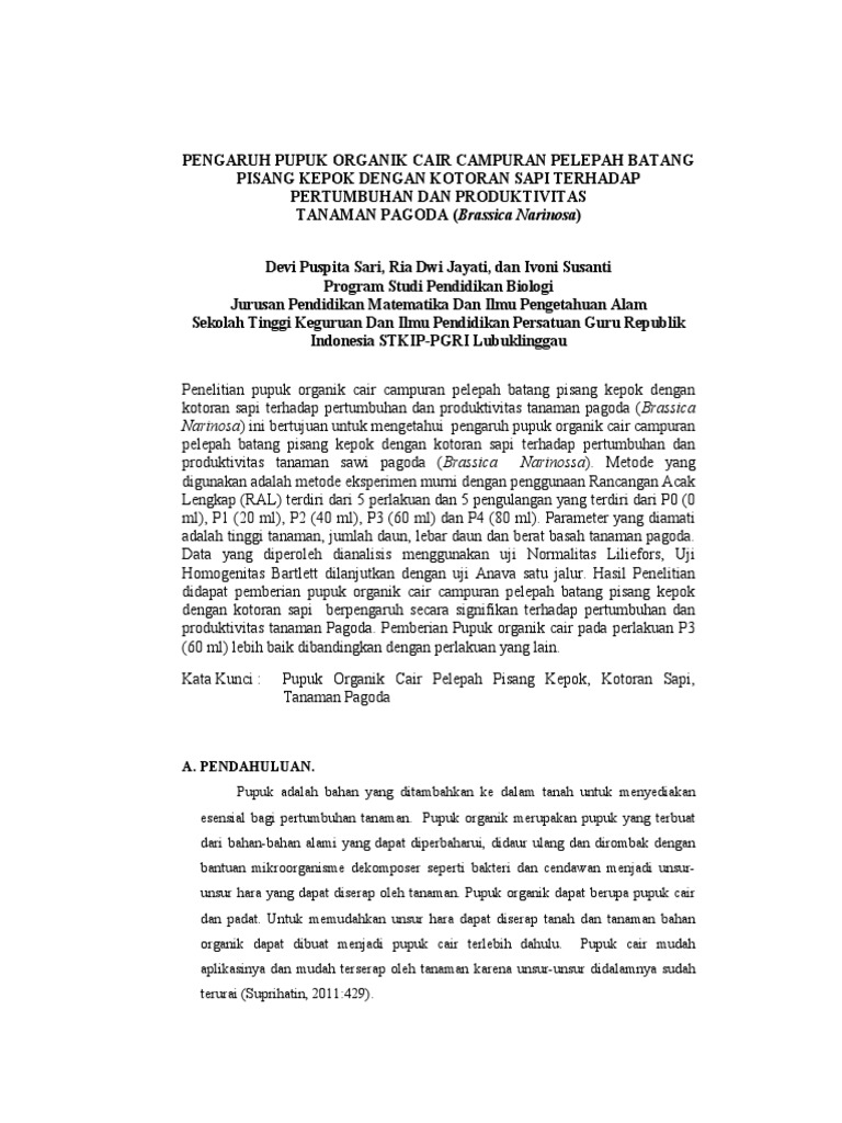 Pengaruh Penambahan POC Kotoran Sapi Dan Batang Pisang Terhadap Pertumbuhan Tanaman Pagoda | PDF