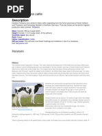 SWOT Beef Cattle | PDF | Cattle | Beef