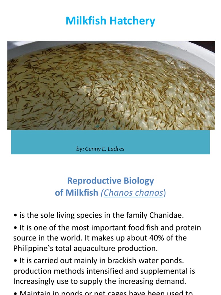 Milkfish Hatchery and Reproductive Biology | PDF | Spawn (Biology) | Fish