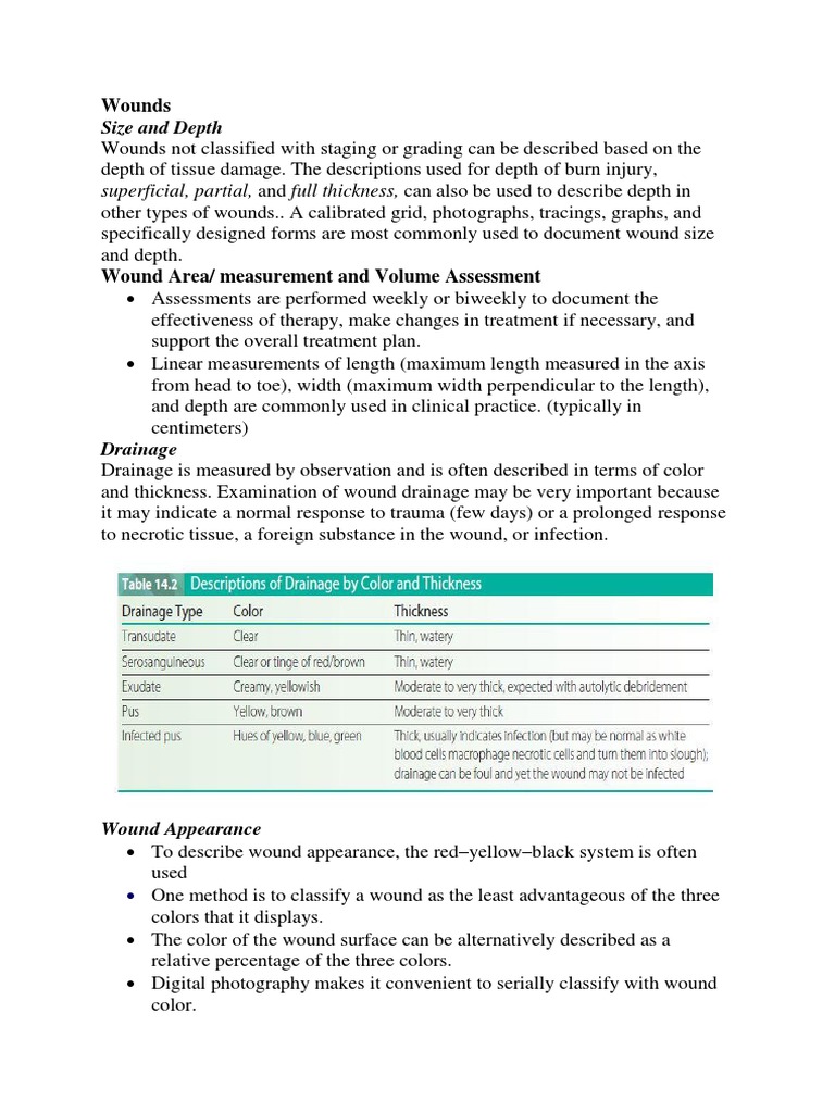 Superficial, Partial, and Full Thickness, Can Also Be Used To Describe ...