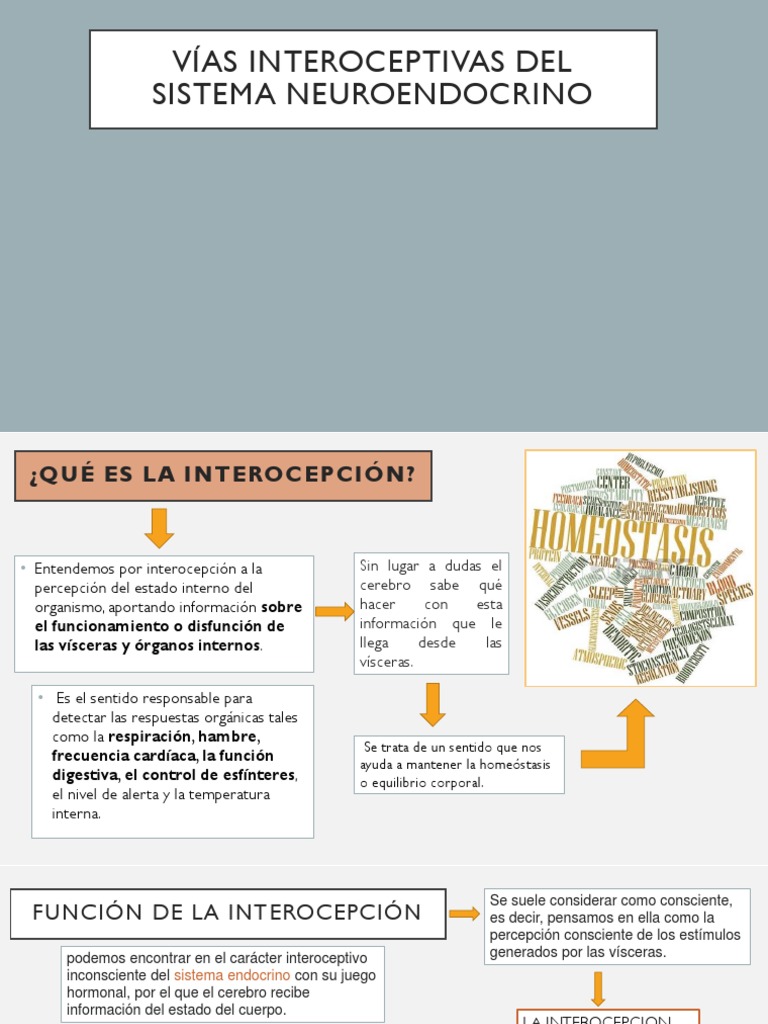 Vías Interoceptivas | PDF | Nervio | Sistema nervioso