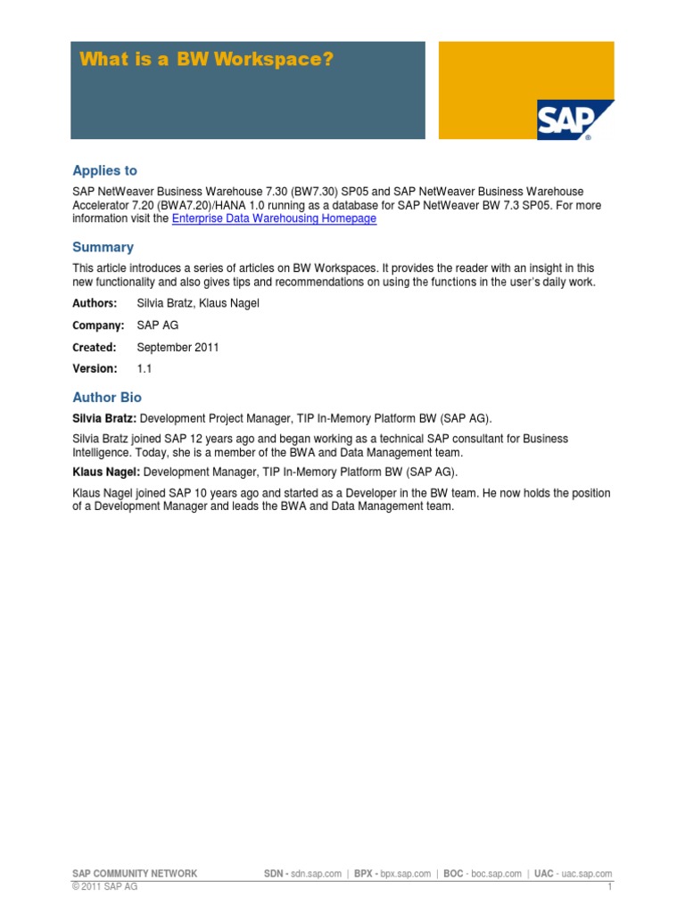 What Is A BW Workspace | PDF | Ibm System I | Sap Se