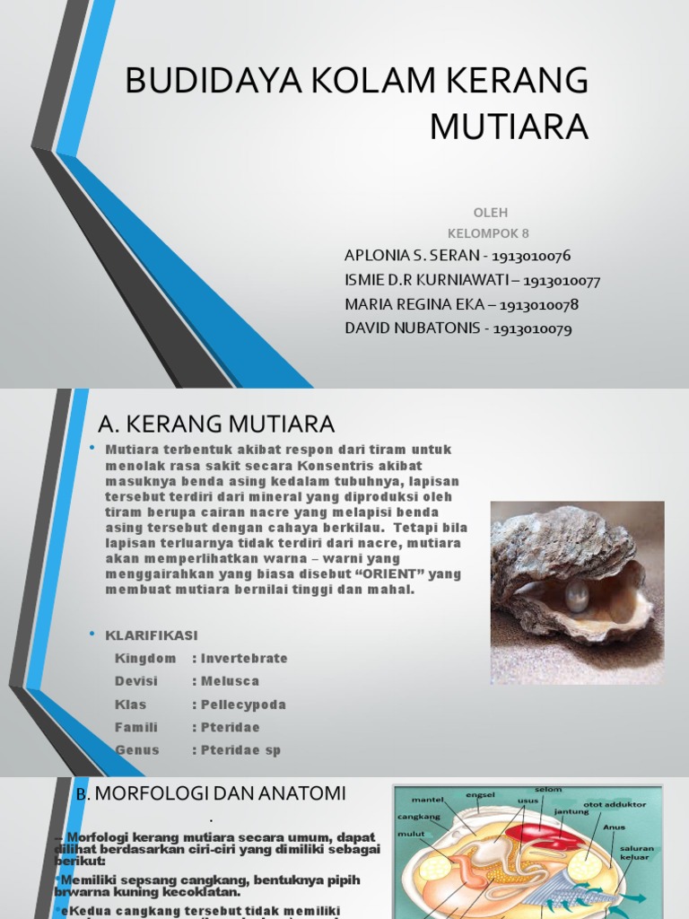 Budidaya Kolam Kerang Mutiara | PDF