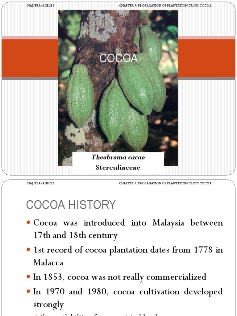 Propagation Techniques and Morphology of Cocoa: A Comprehensive Review ...
