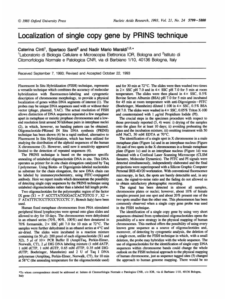 Localization of Single Copy Gene by PRINS Technique | PDF ...