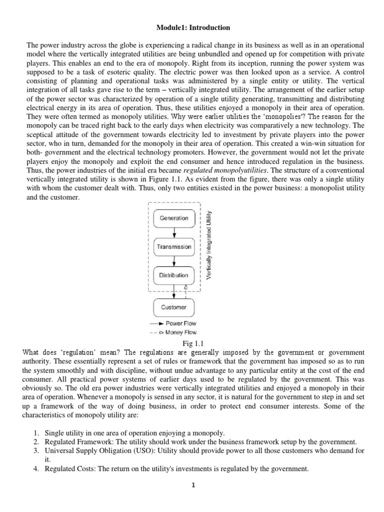 Module1 Notes PDF | PDF | Deregulation | Monopoly