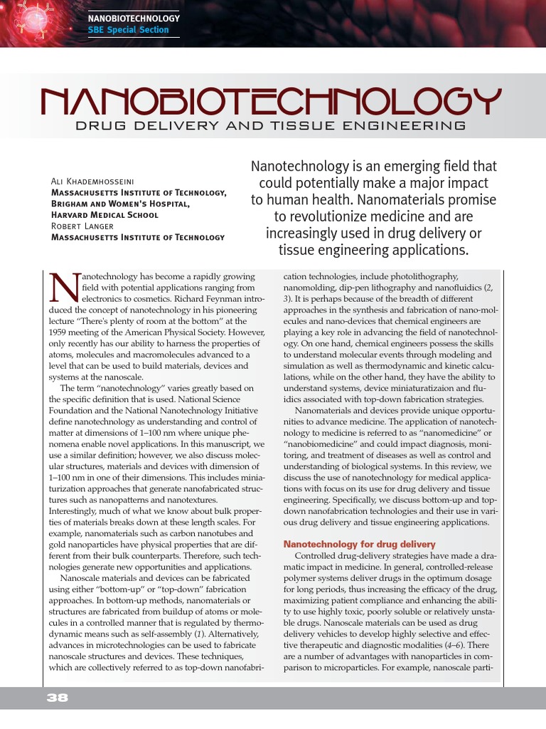 Nanobiotechnology: Drug Delivery and Tissue Engineering | PDF ...
